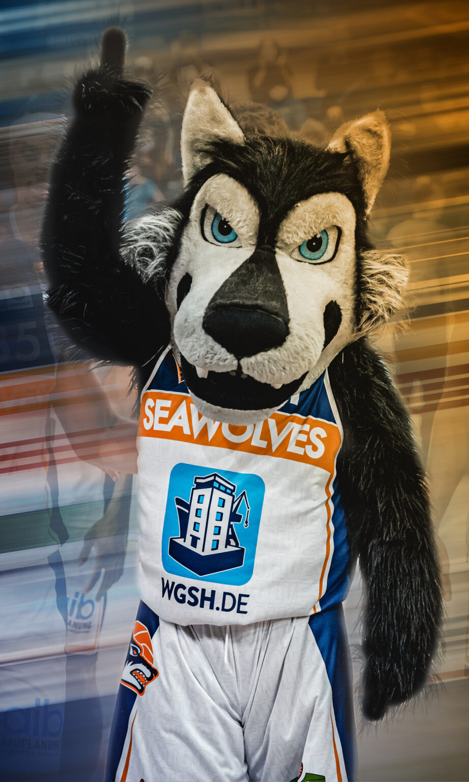 SEAWOLVES WALLPAPER - Rostock Seawolves Basketball